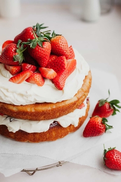 Dessert - Strawberry jam and whipped cream cake filling recipes