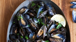 How to cook fresh mussels without shell recipes - Main dish