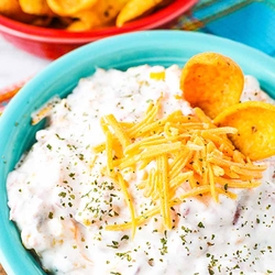 Hidden valley fiesta ranch dip mix recipe - Appetizer